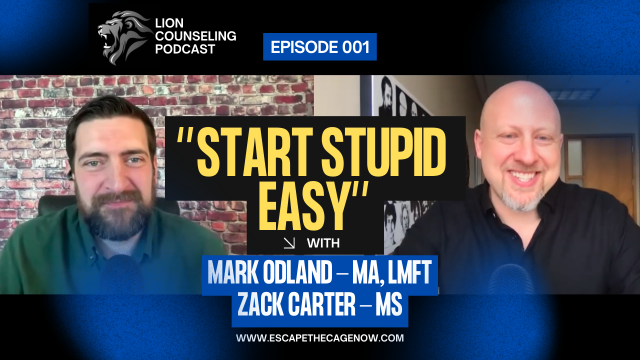 Free 30-Minute Call (show notes) - Lion Counseling LLC
